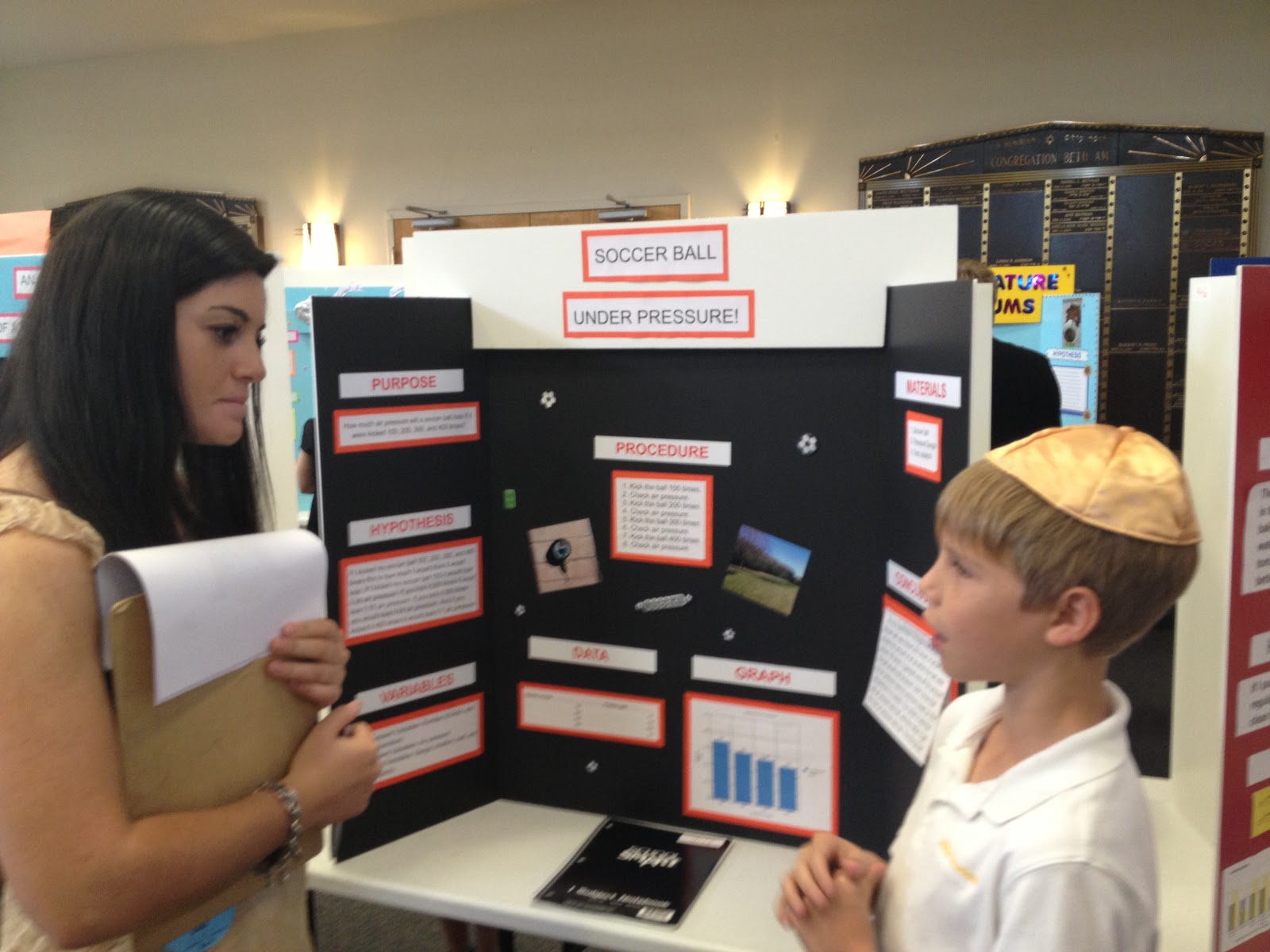 Ms. Social Studies: Science Fair Projects
