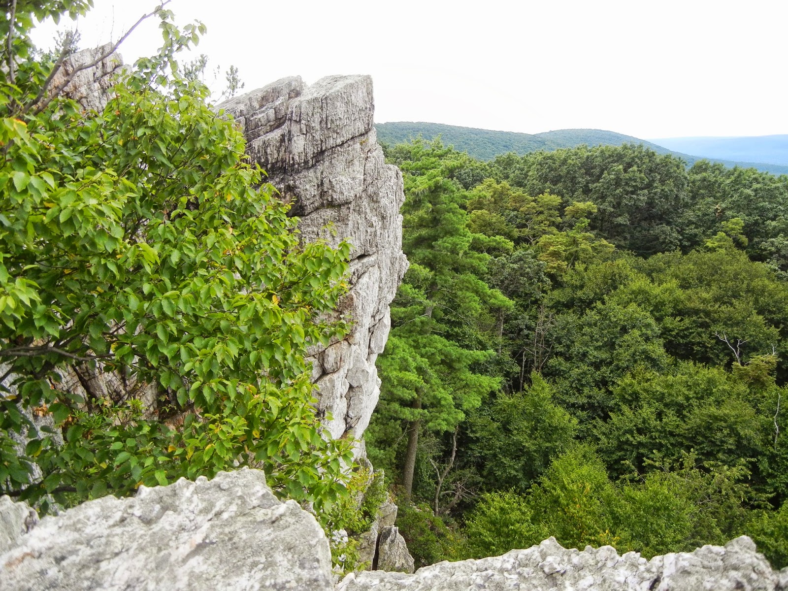 My World in Pennsylvania and Beyond: Pole Steeple Trail at Pine Grove ...