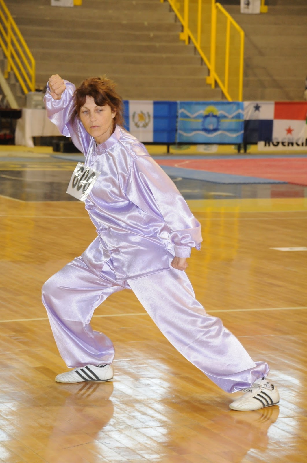 Shaolin Chuan Shifu Daniel Bogado: Panamericano de TAICHI Puerto Madryn ...