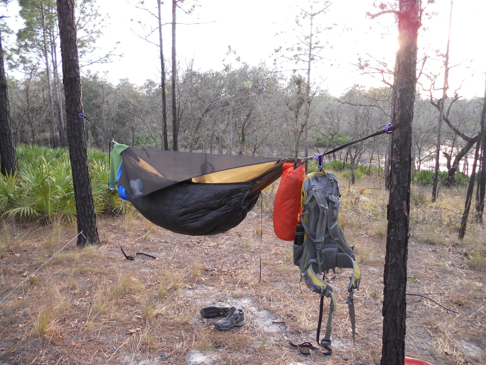 Lite Packer : Green Swamp Wilderness Preserve Camping Trip
