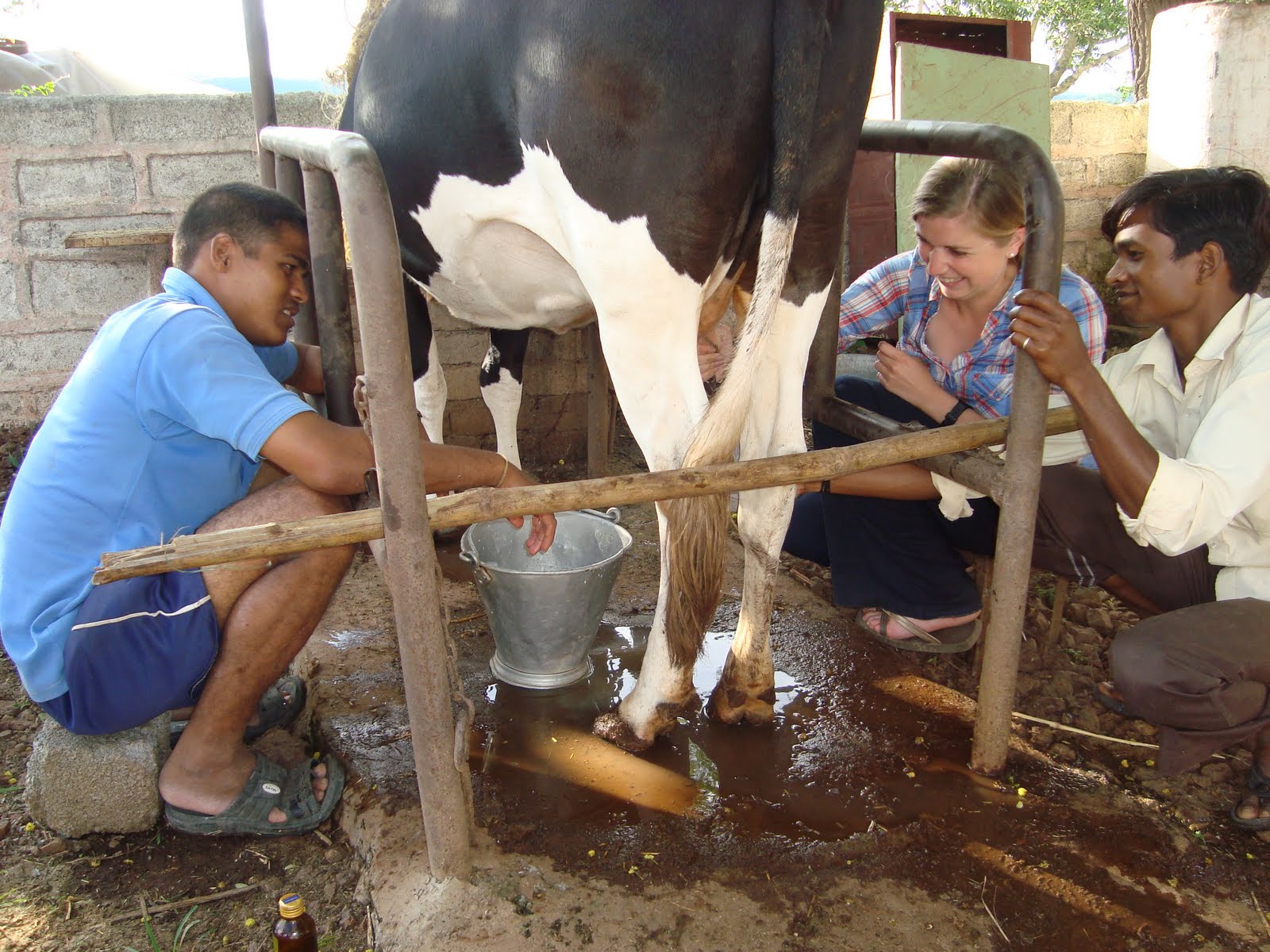 An Indian Summer Adventure!: Preparing Lessons, Milking Cows and Dinner ...