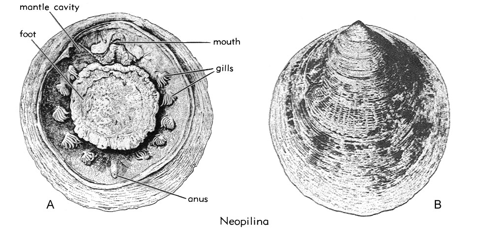 Matt's Sci/Tech Blog: June 2017