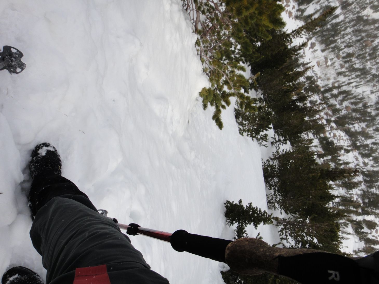 Hiking Rocky Mountain National Park: Half Mountain via Glacier Gorge TH.