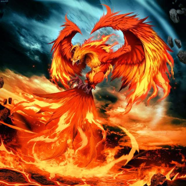 Imagenes de fenix - Imagui