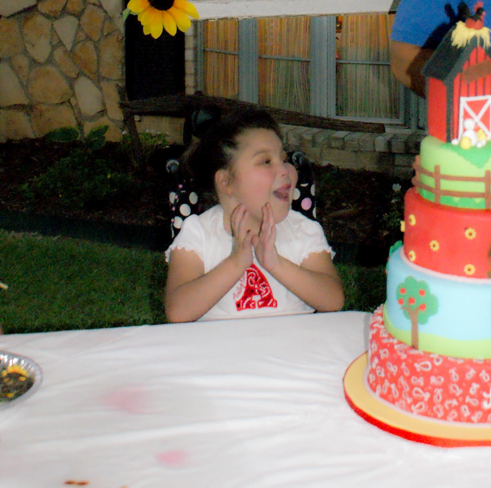 Ashley's Story: Party Details...Part 2