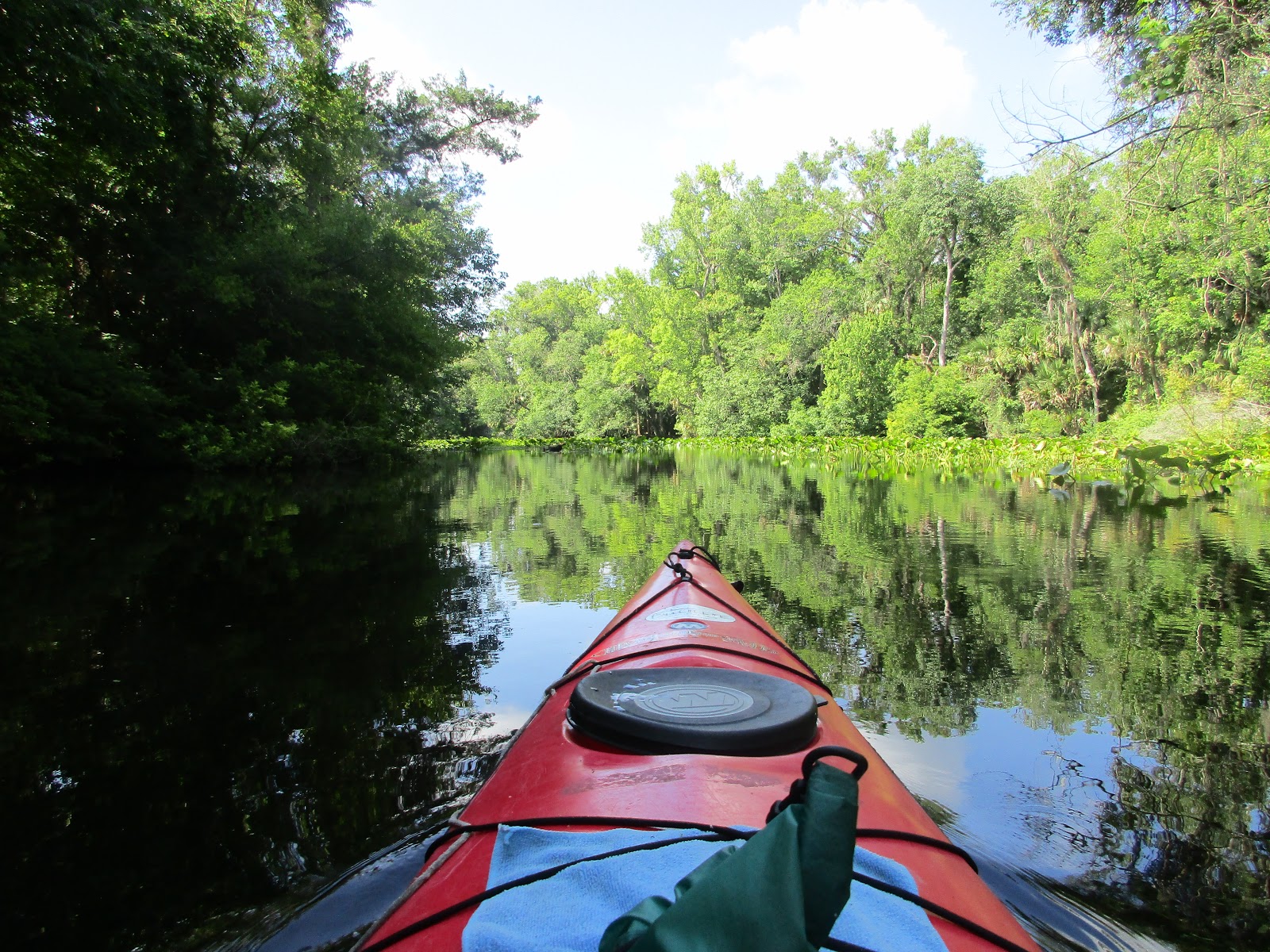 Dave's Yak Tales: Wekiva and Little Wekiva Rivers
