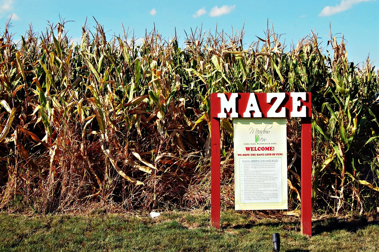 t(r)oymarbles: corn maze
