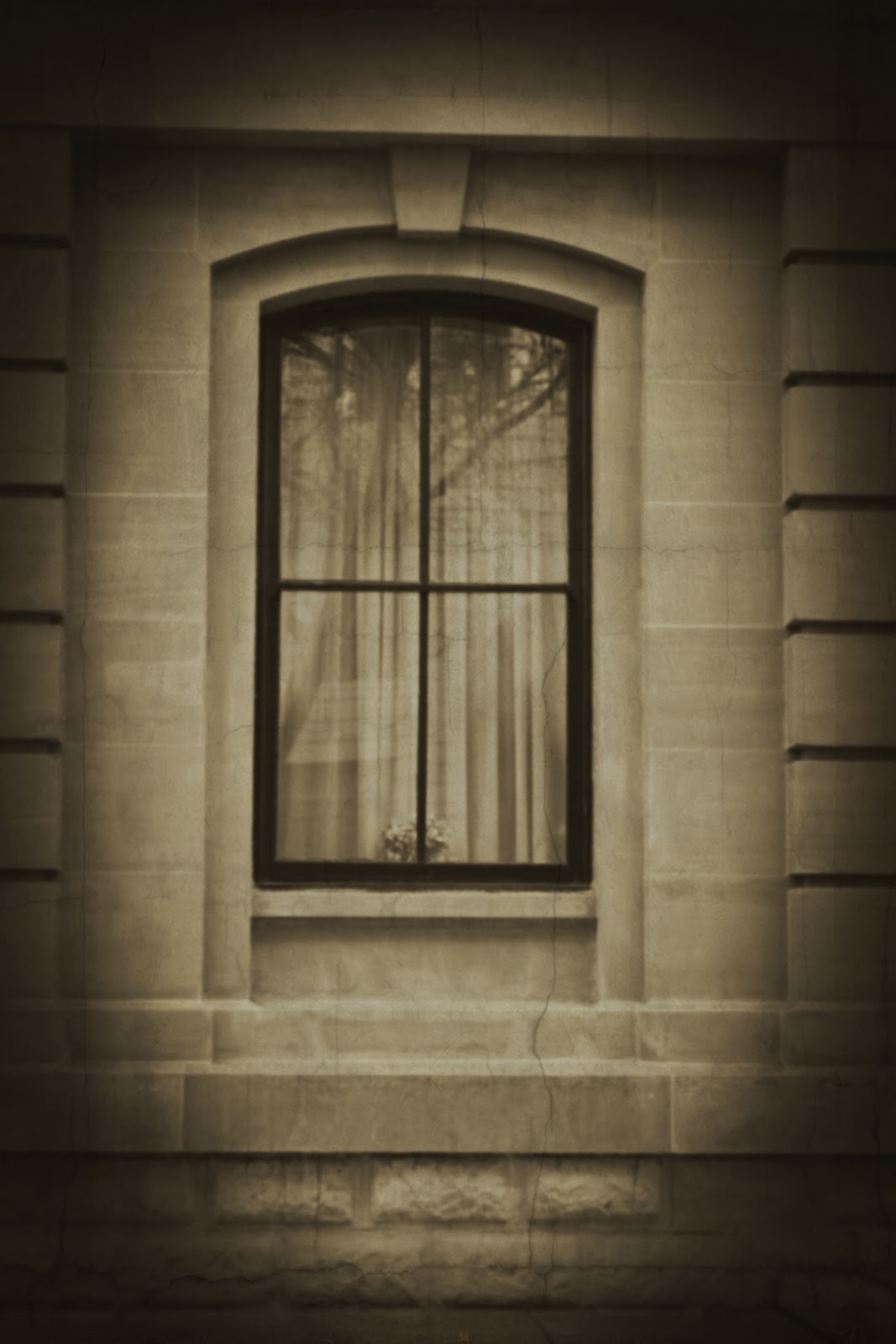 Callie McDonald's photo blog