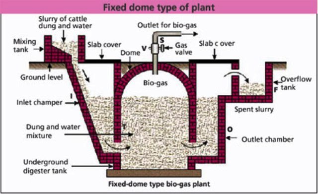 Photographs of biogas Plant ~ Biogas Technology