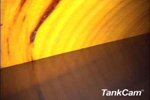 Tank Trouble Tuesday - Tanknology