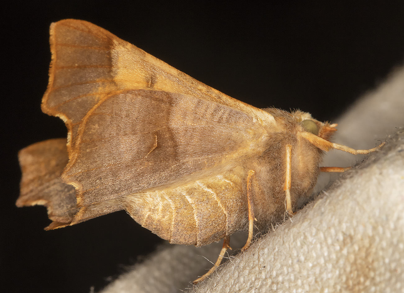 Naturally: August 2016