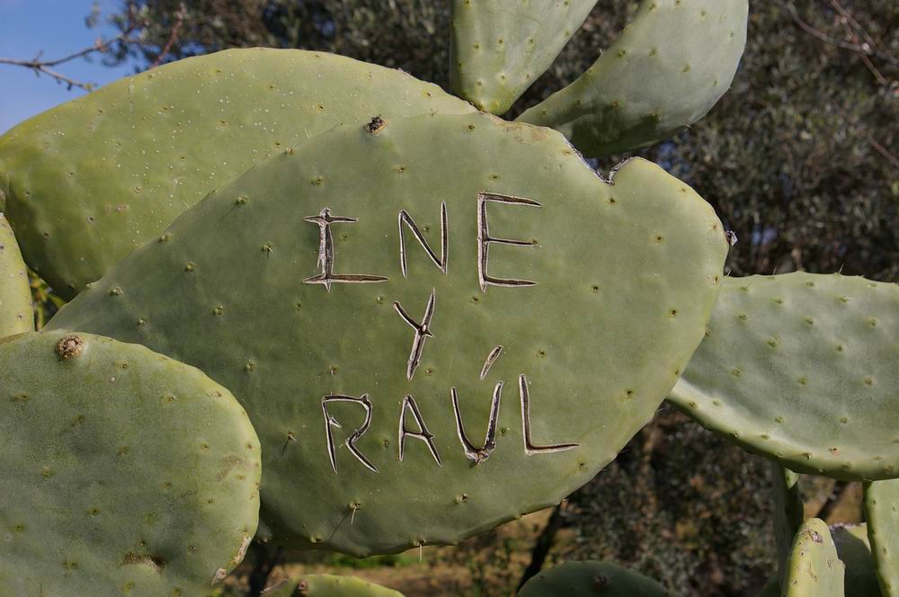 Kolmenimemees: Mandliõielõhnane ja apelsinimaitseline Sitsiilia 6 ...