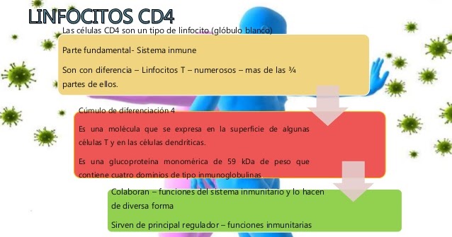 VIH SIDA: LOS CD4