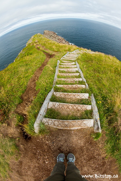 Bitstop: Torbay Point