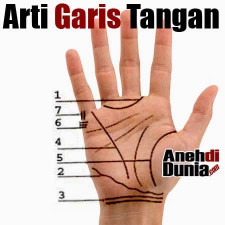 Palmistry Membaca Arti dan Rahasia Garis Tangan | Unik Menarik