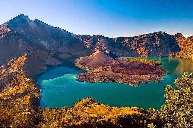 Bunga Edelweis Nan Elok Di Gunung Rinjani - PLH Indonesia