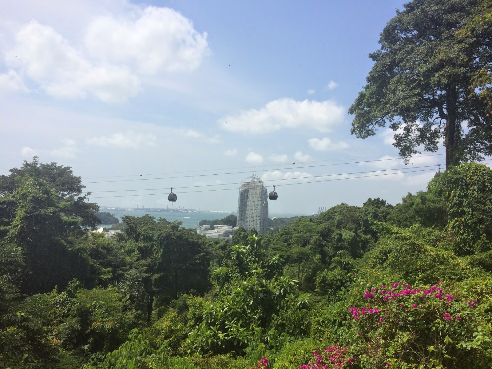 Red Dot Roaming - Harbourfront MRT - Marang Trail and the Henderson Waves
