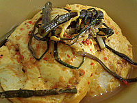 Dali ni Horbo - Makanan Dari Susu Kerbau Kuliner khas Batak - Dapur Teh ...