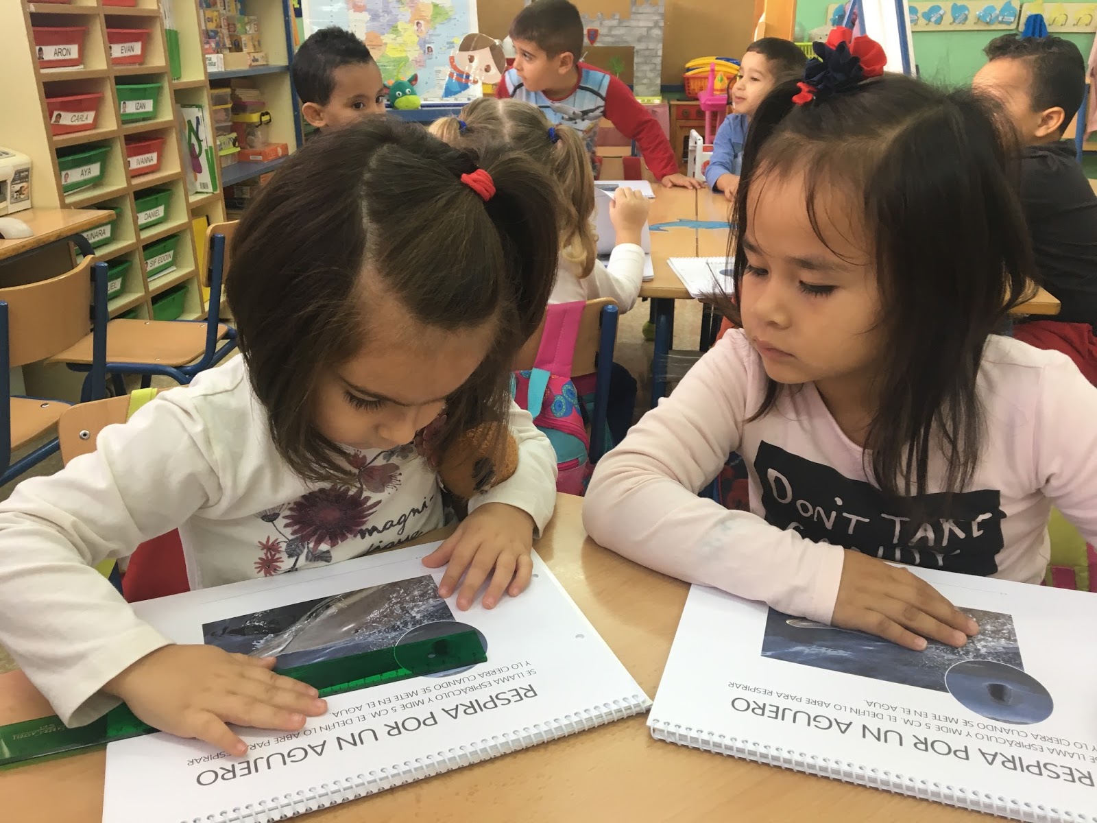 El delfín: El espiráculo