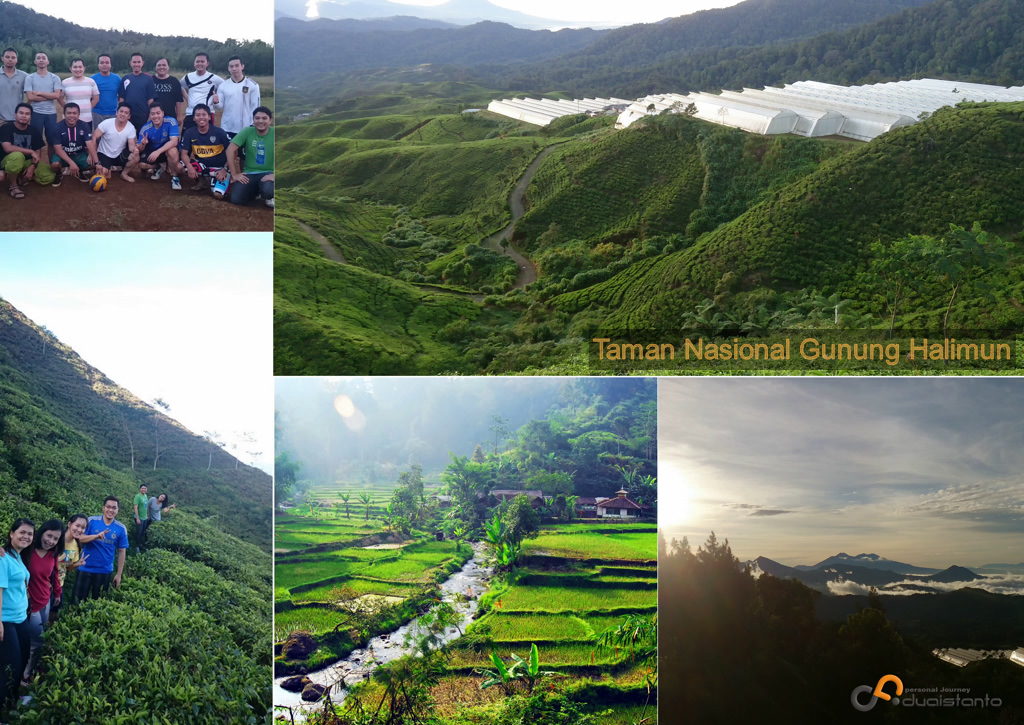 Wisata Alam Taman Nasional Gunung Halimun - duaistanto Journey