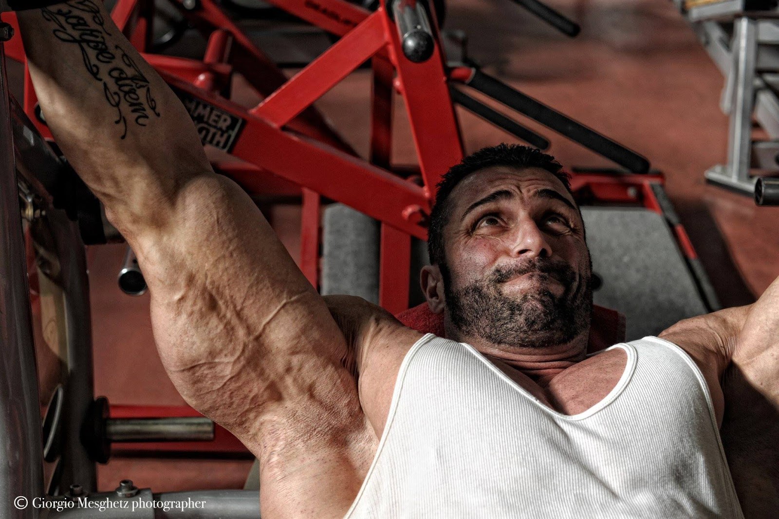 Muscle Lover: Italian muscle beast Alessandro Grassi