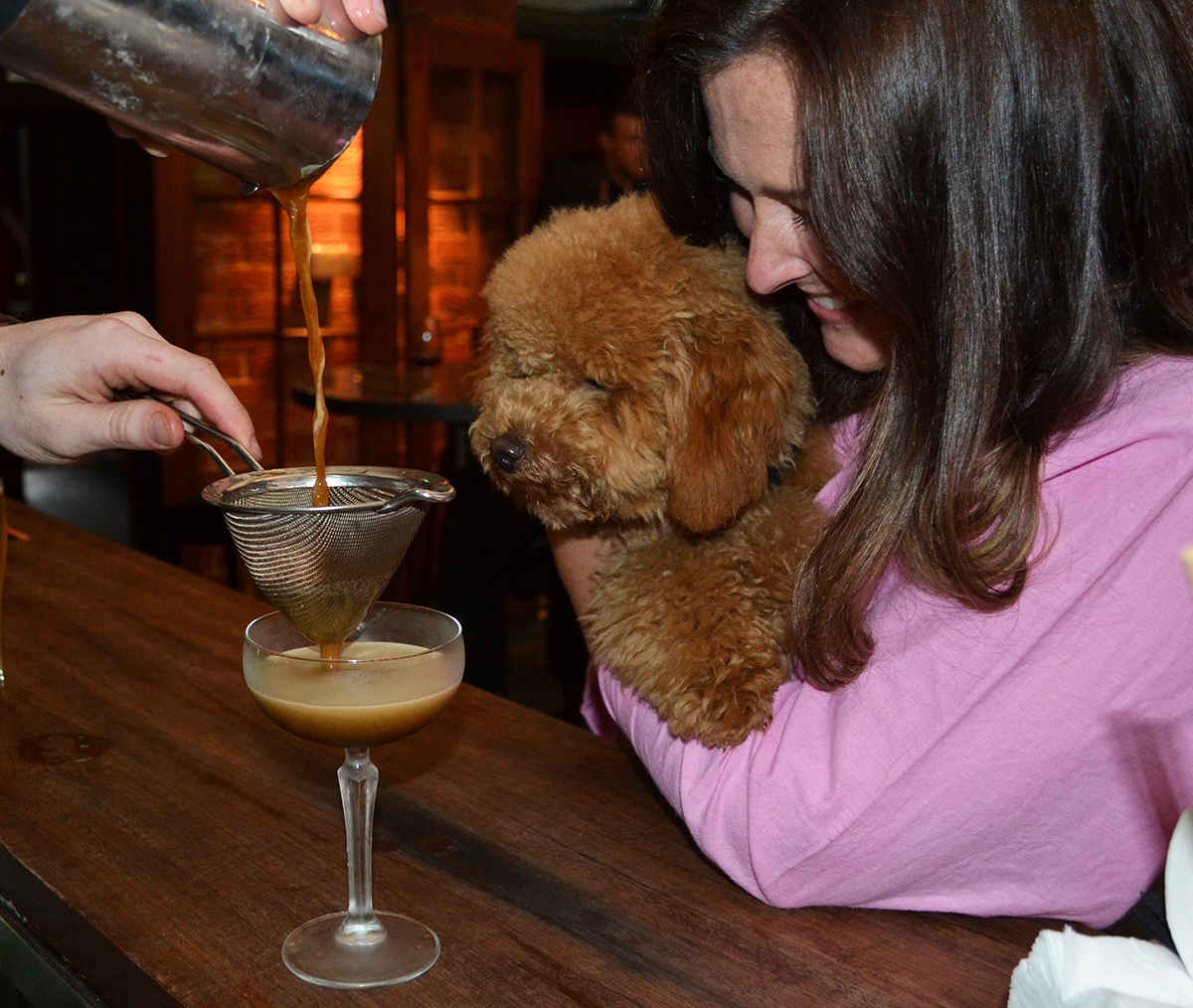 Canberra's Canines Cocktails & Catch-ups - October 25 | Australian Dog ...