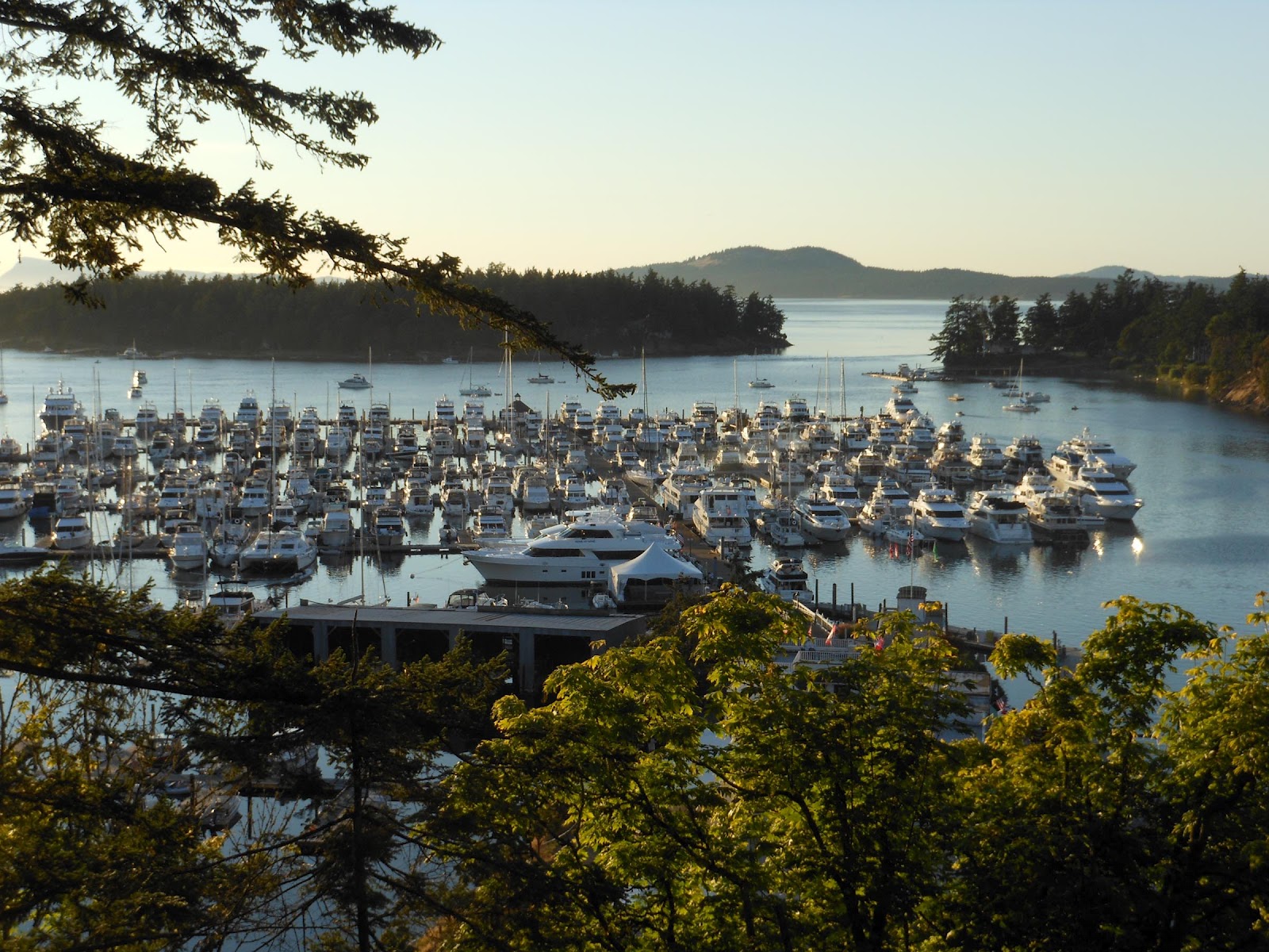 Elsa Cruise 2012: Thursday, August 2: Sidney Spit to Roche Harbor, San ...