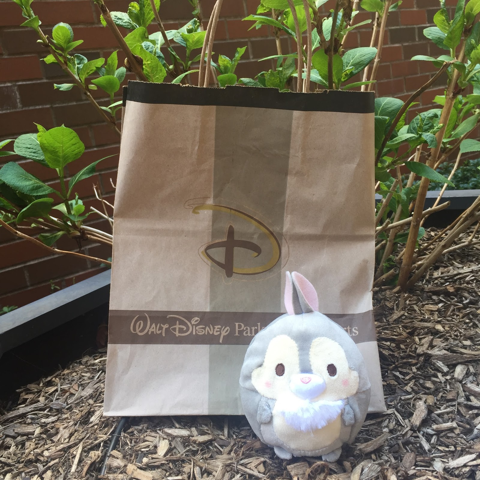 Picturing Disney: Disney's Earth Day 2018 Announcement