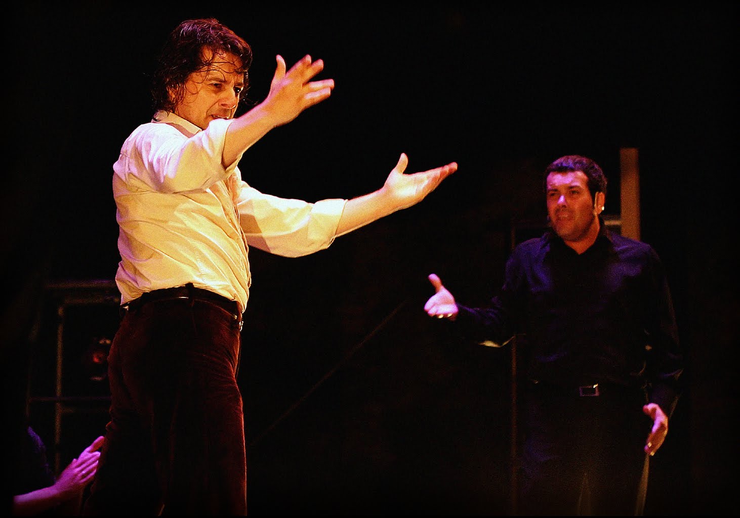 Vaivenes Flamencos: Un bailaor mútiple