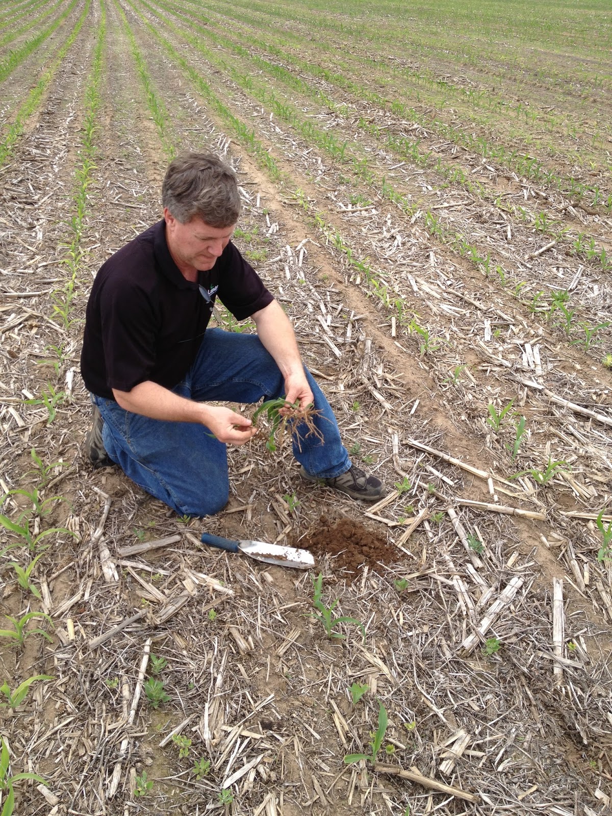 Landmark Services Cooperative: The Facts on Forage