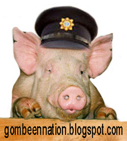 Gombeen Nation: Pig-headed gardai and compo claim skangers
