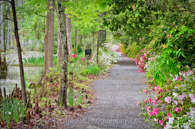 VanessaK: Complete Change of Scenery