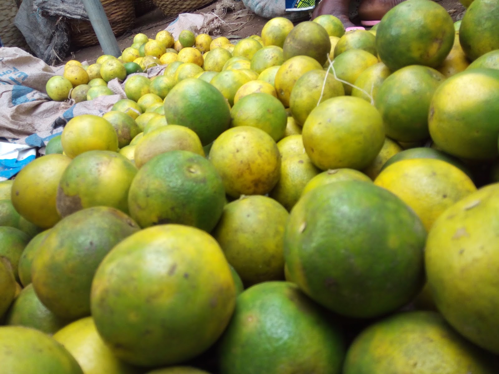 OJA (MARKET) | Official Haddiee