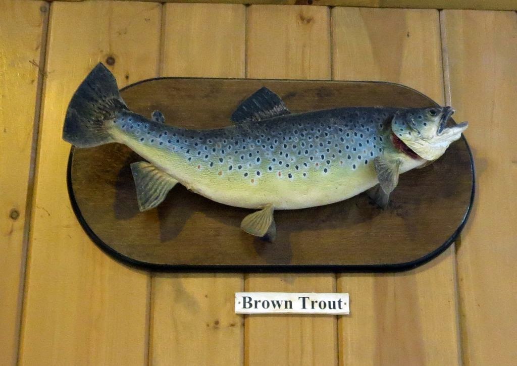 Windswept Adventure: The Adirondack Fish Hatchery In Lake Clear, New York