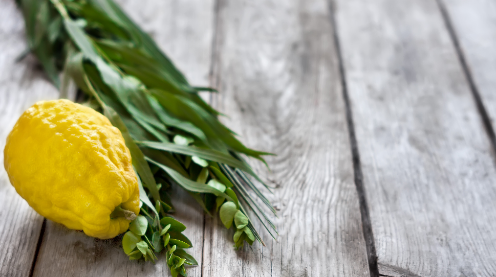 Conhecer o Judaísmo: Sucot a Festa das Cabanas