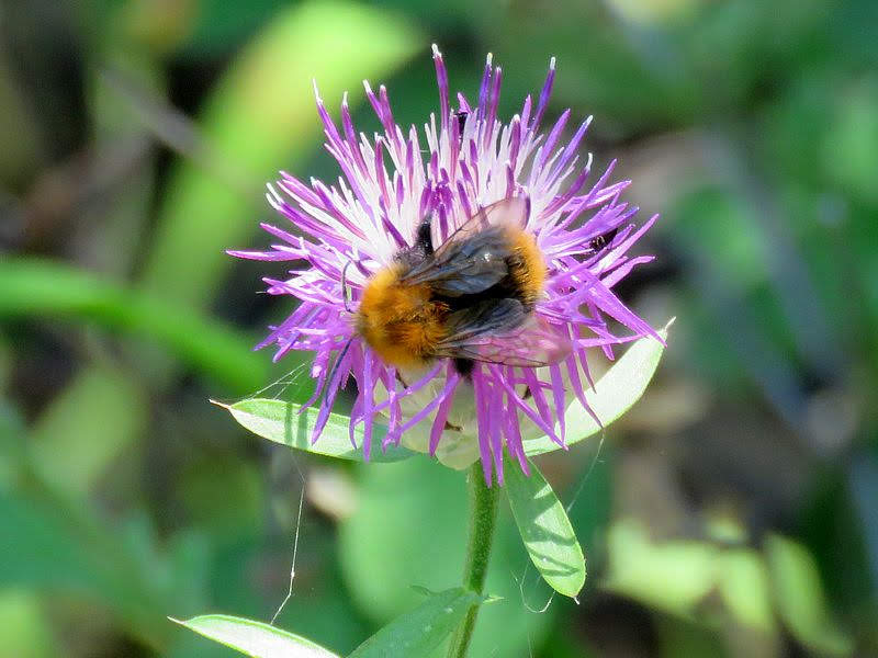 Zanim znów wyruszysz w góry - przewodnik na górskie wędrówki