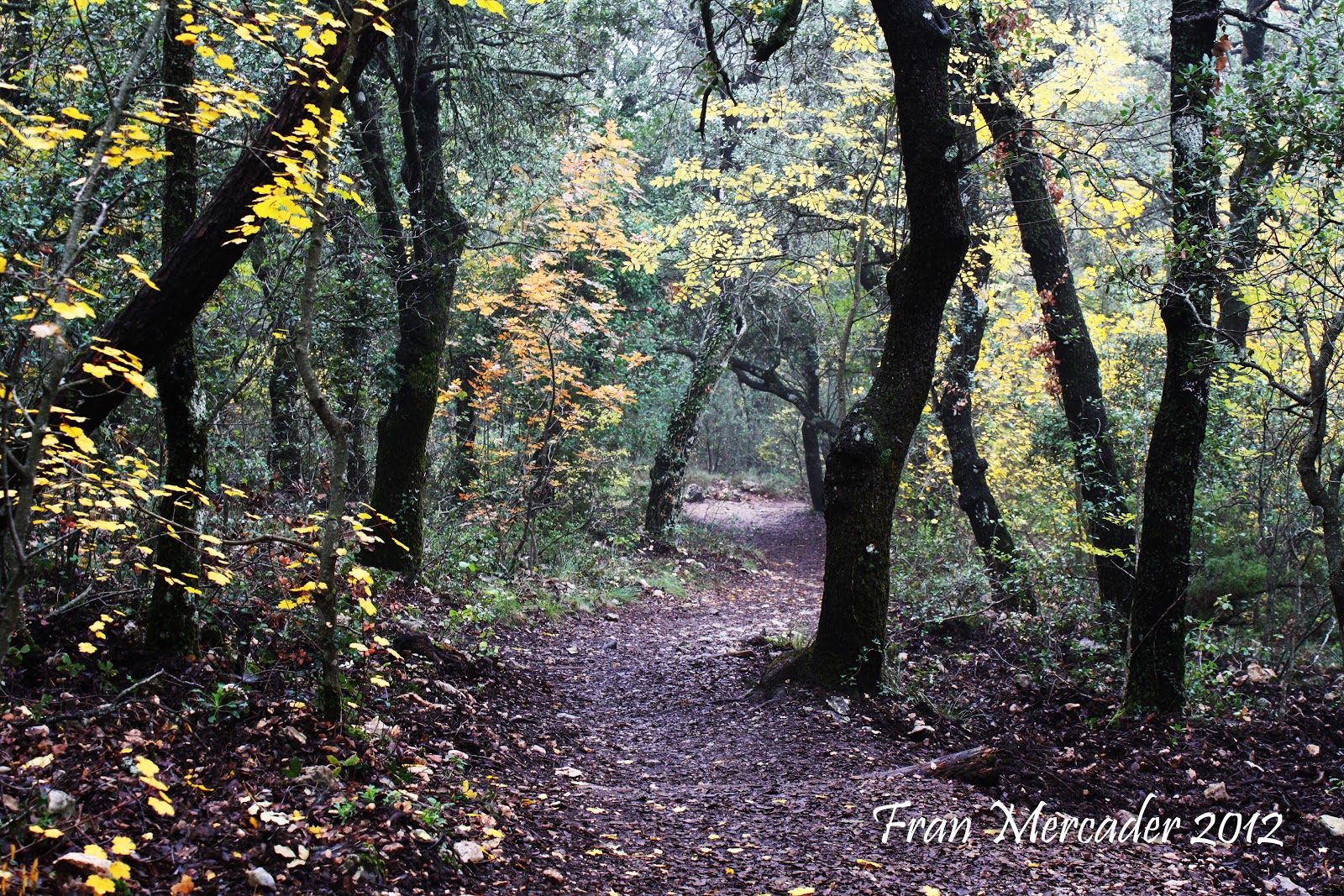 Ruta Santuario Font Roja - Casa Tápena (Onil) | Más allá de la ciudad