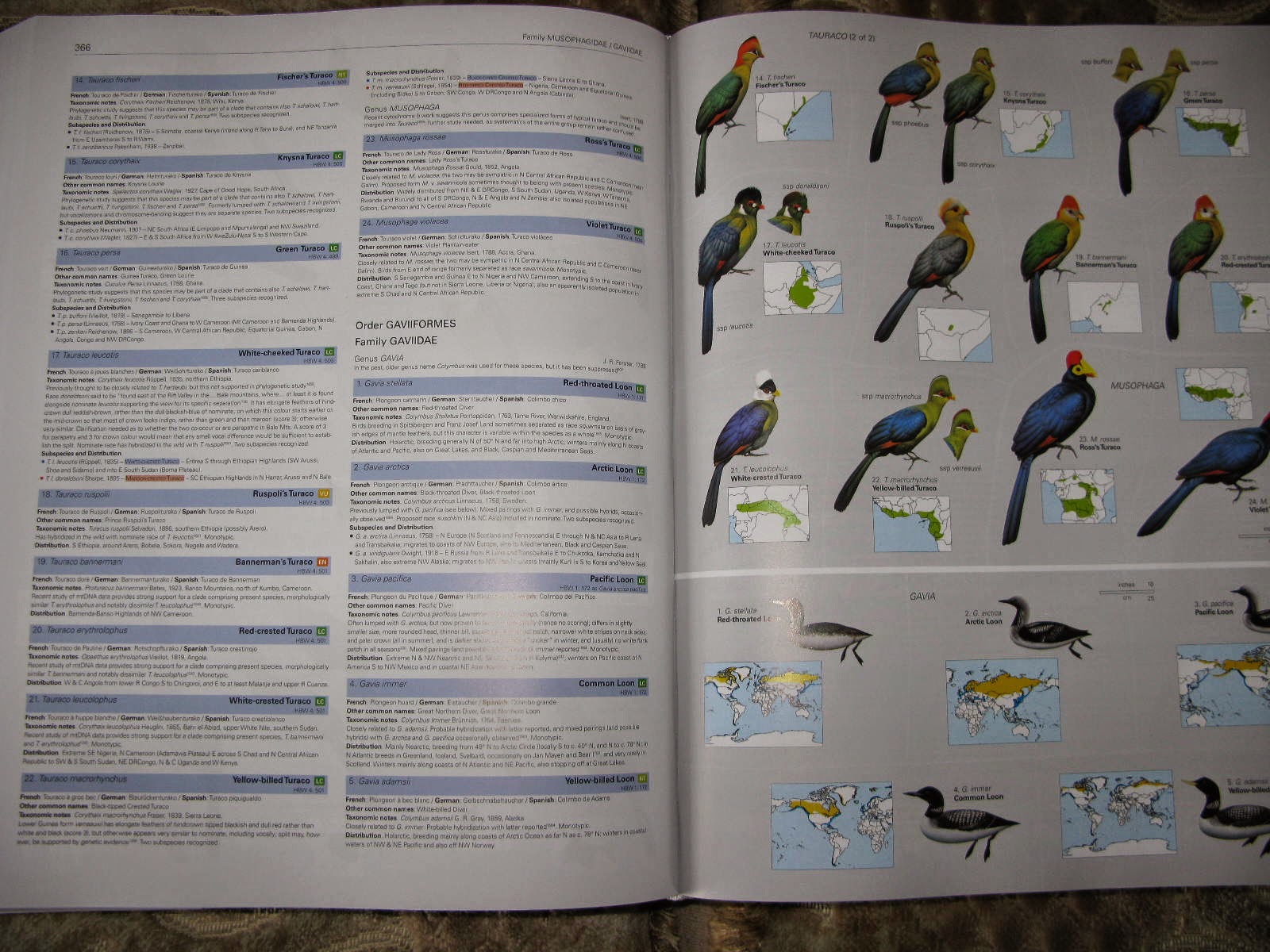 A birding odyssey.: HBW and BirdLife International Illustrated ...