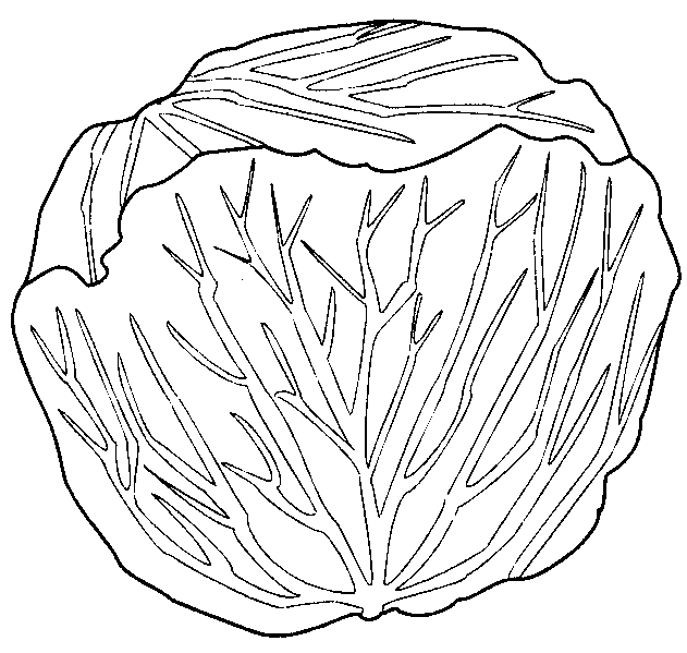 Sekitar Kawasan Sekolah: Gambar outline_Buah Sayur