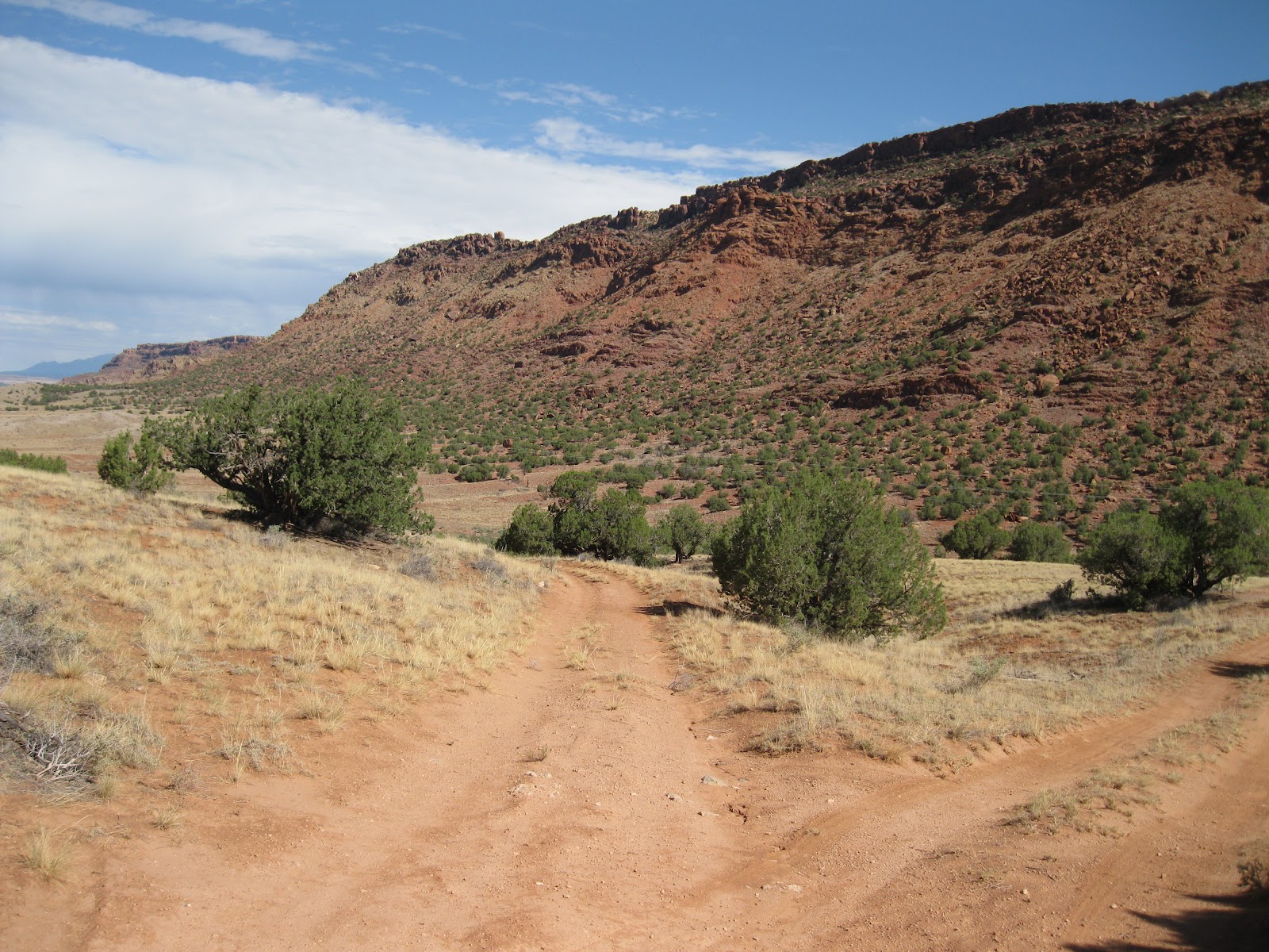 Four Corners Hikes-Dolores River Valley Colorado: Hamm Canyon in Big ...