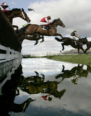 Steeplechase Horse Racing