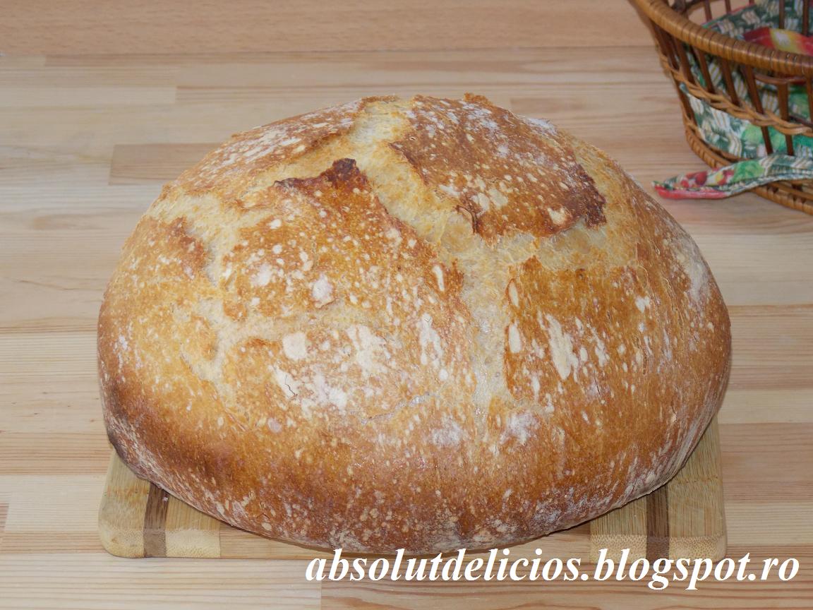 Absolut Delicios: PAINE DE CASA FARA FRAMANTARE (PAINE NEFRAMANTATA ...