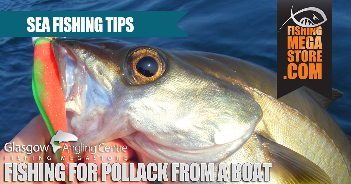 Fishing For Pollack From A Boat