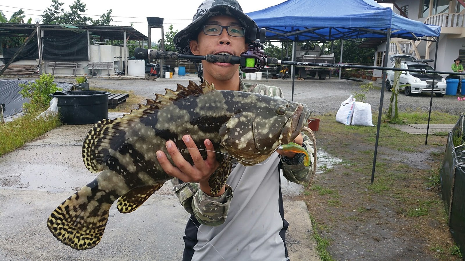 Newer Post Older Post Home