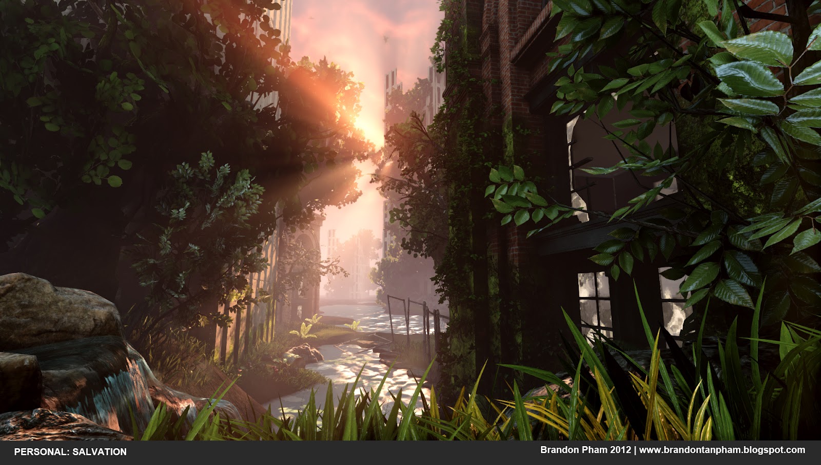 Brandon Pham Portfolio