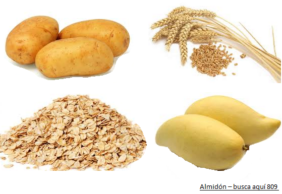 Bioquimica: ENZIMAS Y CARBOHIDRATOS