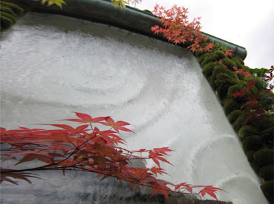 A Japanese Secret Garden on the Rooftop | The Collective Loop