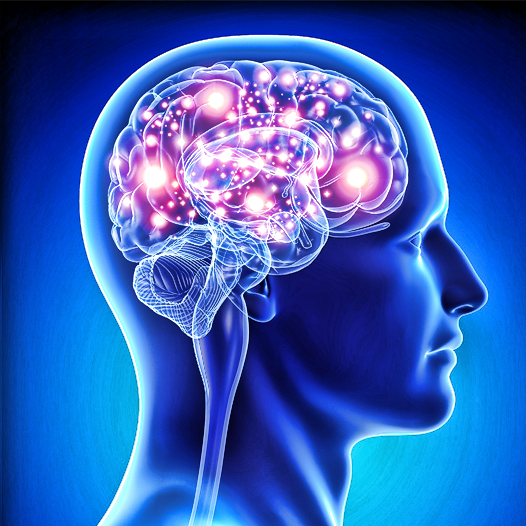 Rugged Breed : A TOUGH MIND IS BETTER THAN A BRILLIANT MIND