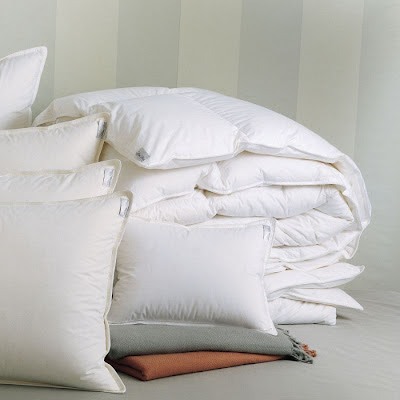 Eiderdown Comforters and Pillows | Sheet Envy