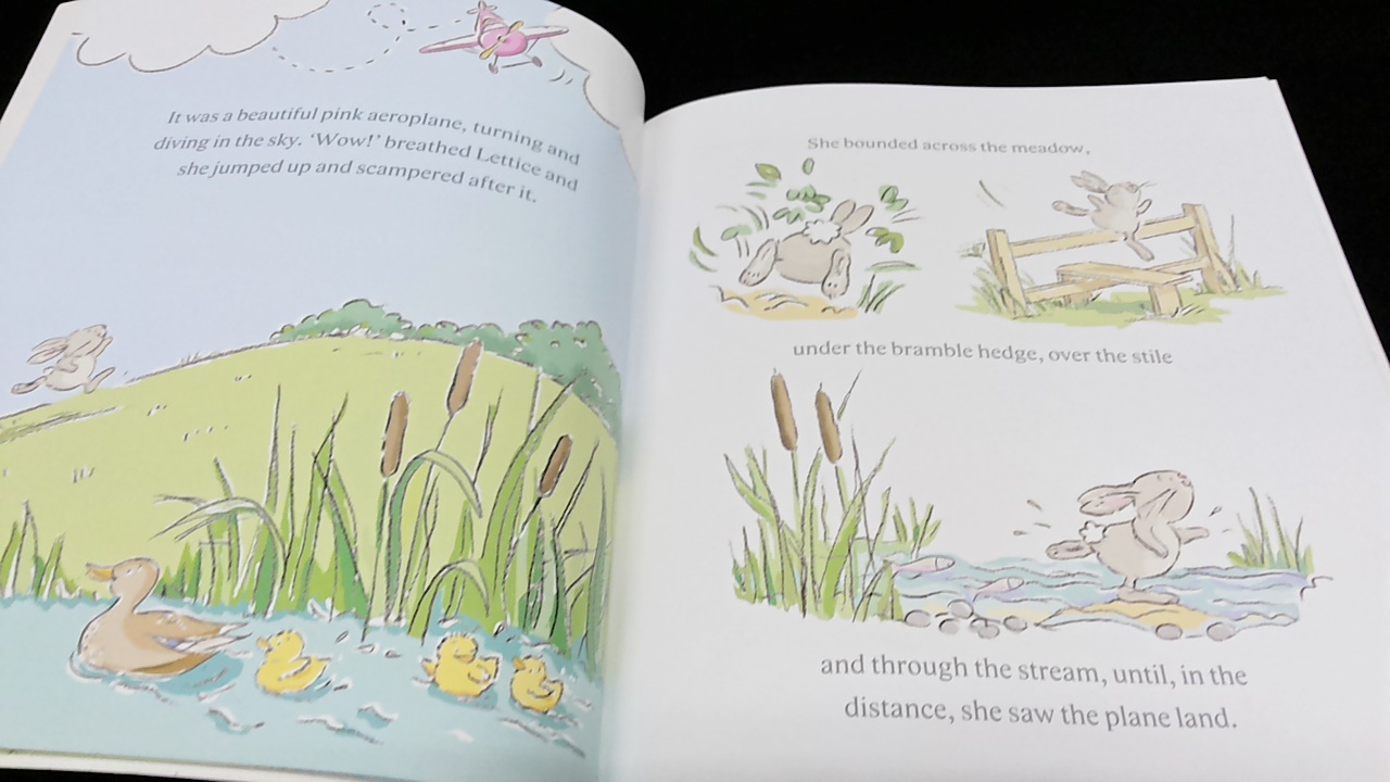 Kid Books Blog: 696.Lettice : The Flying rabbit / The Birthday Party